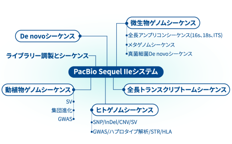 ノボジーンは新たに8台のPacBio Sequel IIeシステムを導入し、より高品質なロングリードシーケンス受託サービスを提供します - Novogene