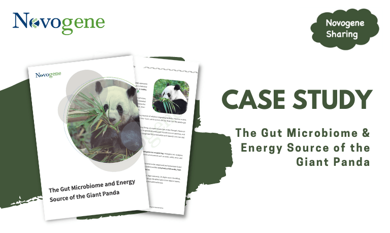 The Gut Microbiome and Energy Source of the Giant Panda - Novogene